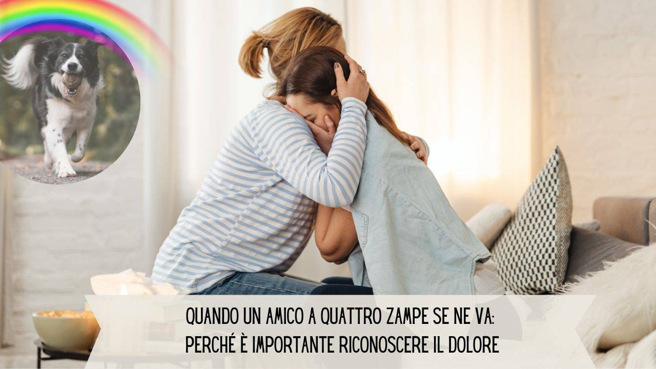 Quando muore un cane o un gatto: diritti negati per chi soffre un lutto ...