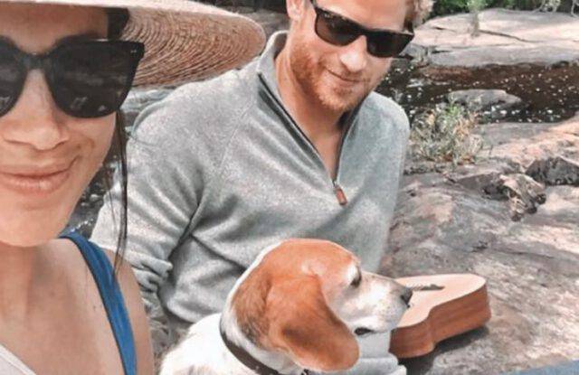 Harry e Meghan, nel loro amore c'è sempre stato lui: perché è importante