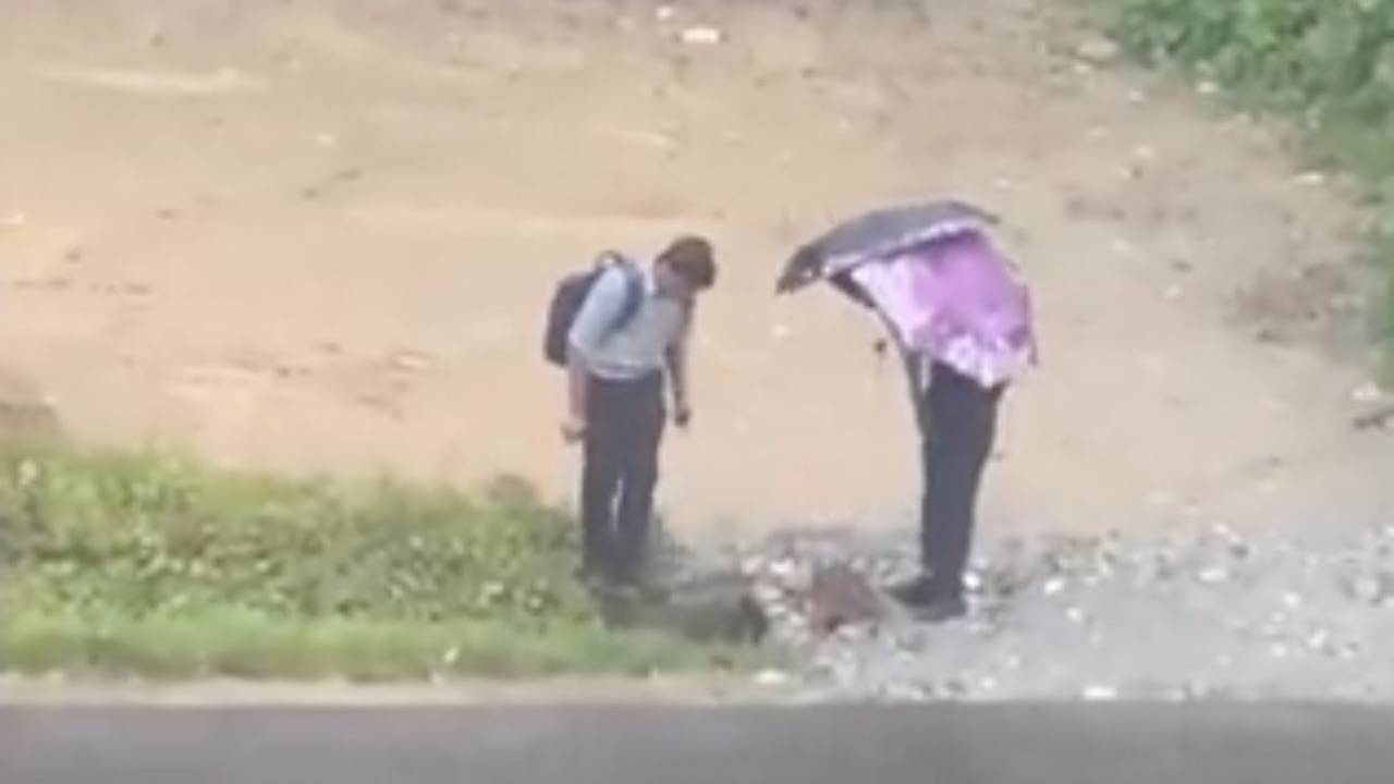 Cagnolino intrappolato nello scarico: si cala, sotto la pioggia, per ...