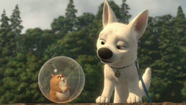 Cane di Bolt - Un eroe a quattro zampe: nome, razza e curiosità