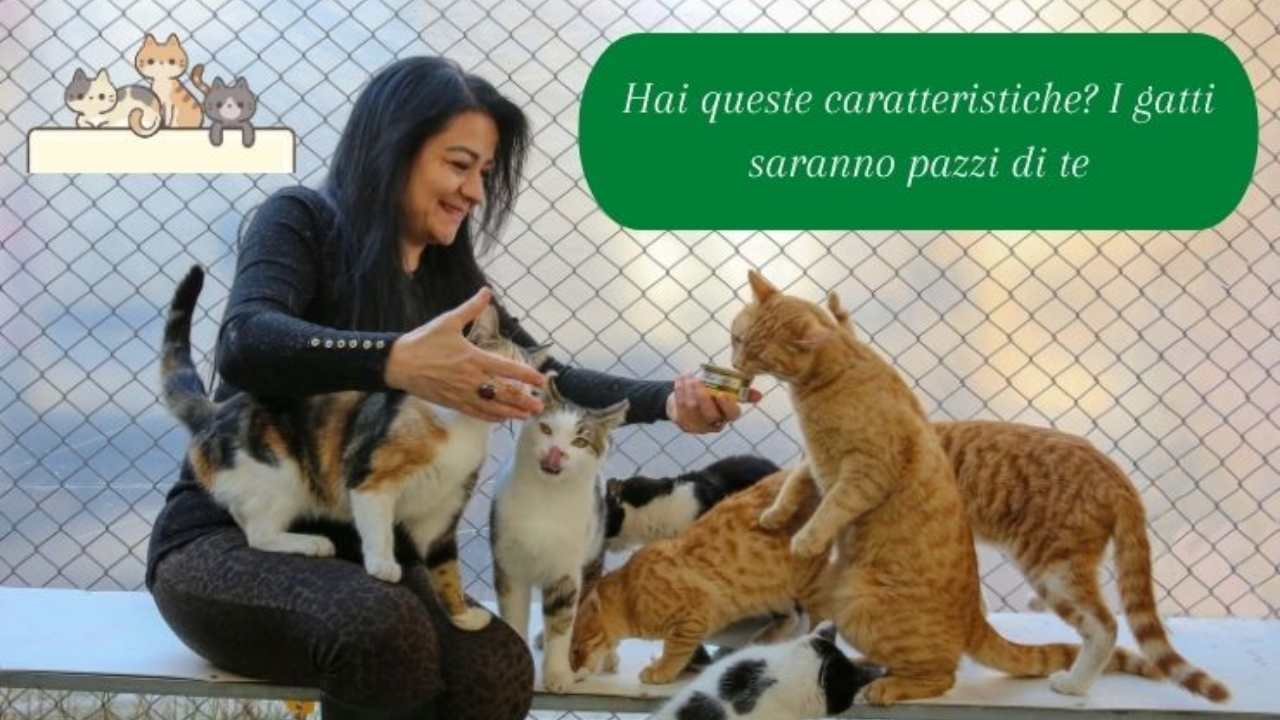 Tutti i gatti sono pazzi di te? Hai le caratteristiche che attraggono micio