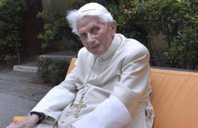 Addio a Ratzinger: il Pontefice che per i gatti faceva questo tutti i ...