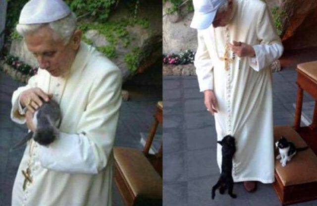 Addio a Ratzinger: il Pontefice che per i gatti faceva questo tutti i ...