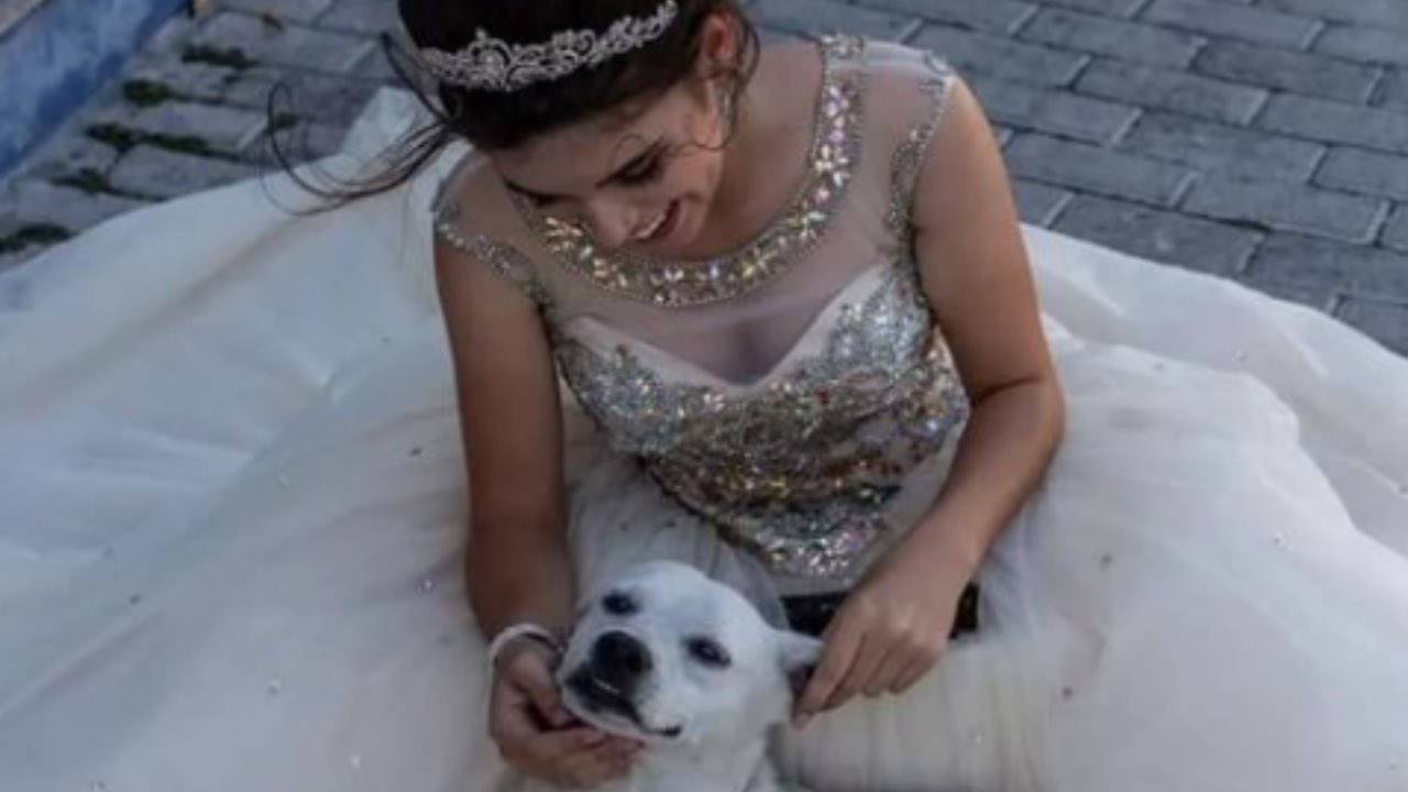 Il cane Spike diventa protagonista: è il suo giorno più importante FOTO