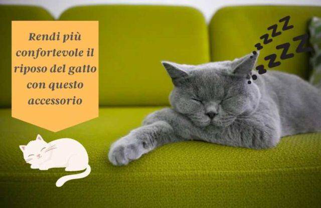 Fai felice il tuo gatto con questo accessorio: il relax che ogni micio ...
