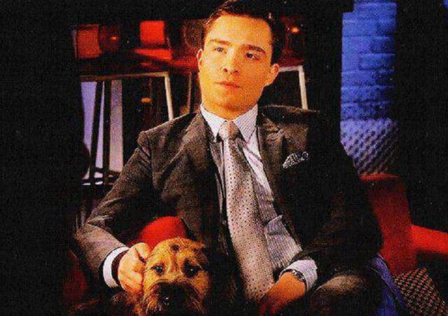 Cane Chuck Bass in Gossip Girl: nome, razza, caratteristiche e curiosità