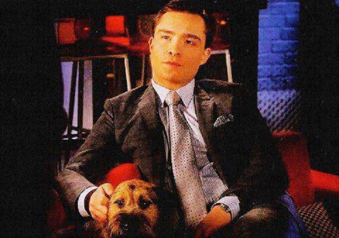 Cane Chuck Bass in Gossip Girl: nome, razza, caratteristiche e curiosità