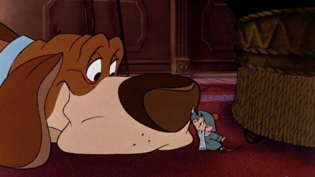 Cane Basil investigatopo: nome, razza, caratteristiche e curiosità