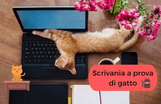 Scrivania a prova di gatto: come tenere al sicuro micio e il tuo computer
