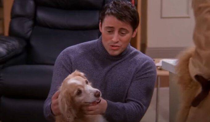 Animali Friends (Serie Tv): chi sono, nomi e curiosità