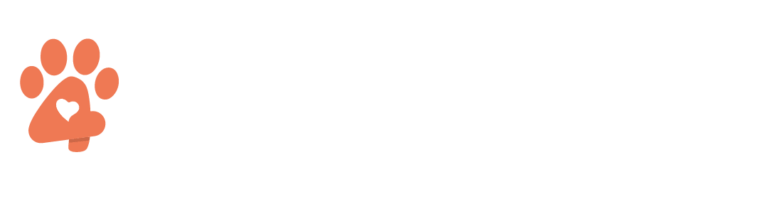 Vombato, un animale speciale: le sue caratteristiche e particolarità
