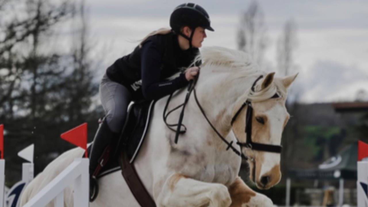 La fuga di Panda per visitare pazienti affetti da demenza: un cavallo unico