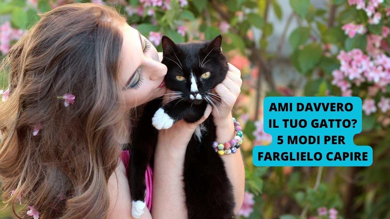 Ami veramente il tuo gatto? 5 modi per farglielo capire