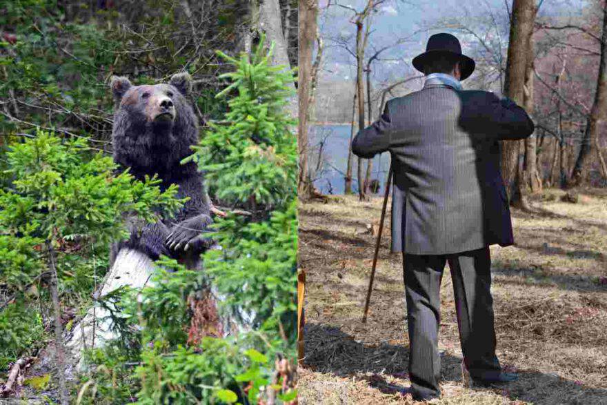 Nel bosco preferireste incontrare un orso o un uomo? La risposta della ...