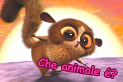 Che animale è Mortino del film Madagascar? Non lo indovinerai mai
