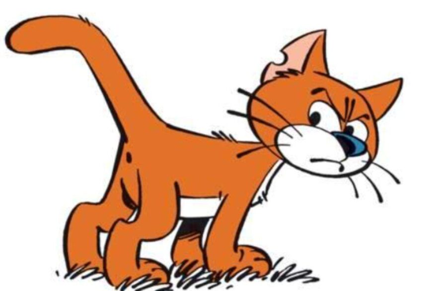 Gatto di Gargamella ne I Puffi: nome, razza, caratteristiche e curiosità