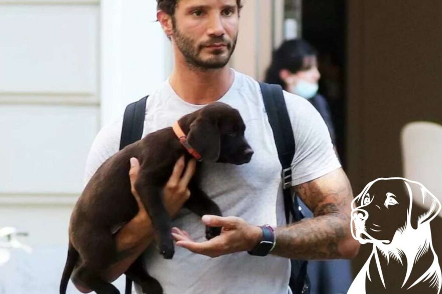 Stefano De Martino: "In casa non comando io ma il mio cane"