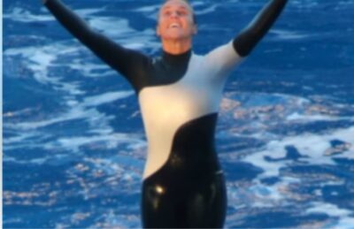 Incidente al Sea World: la tragica morte di Dawn Brancheau