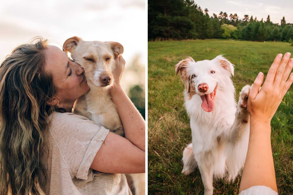 Come far capire al tuo cane quanto è speciale per te