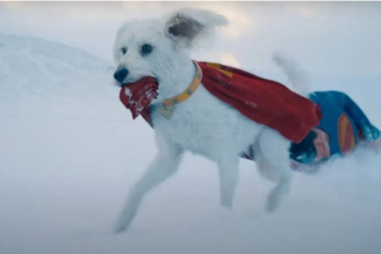 E' davvero un supereroe: Crypto, il cane di Superman fa aumentare le ...