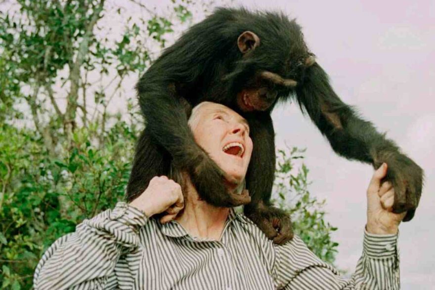 Addio a Jane Goodall: la sua vita dedicata agli animali e alla scienza